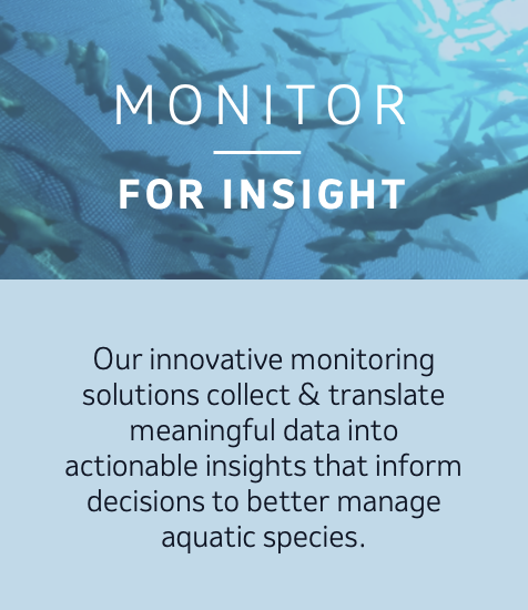 Sustainable Aquatic Ecosystems by Merck Animal Health