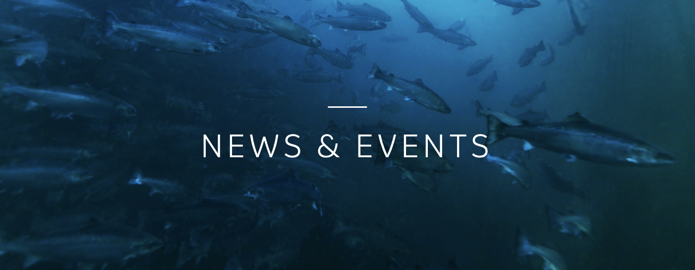 Solutions For Aqua News and Events
